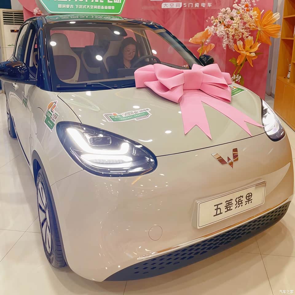 五菱缤果 2023款 410km灵犀尊享款怎么样_优缺点_菜子cbx_口碑_汽车之家