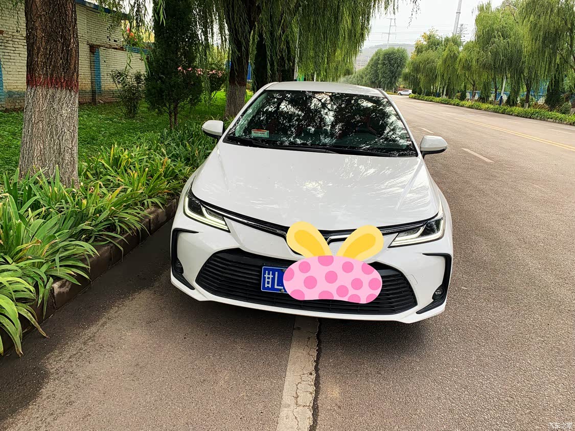 卡罗拉 2022款 TNGA 1.5L 手动先锋版怎么样_优缺点_看你怎么办嘛呢_口碑_汽车之家