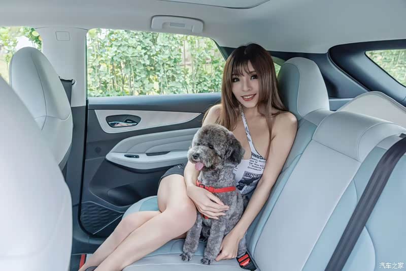 汽车之家|启辰大V DD-i报价大全|大众点评|2023款 110km iE版怎么样