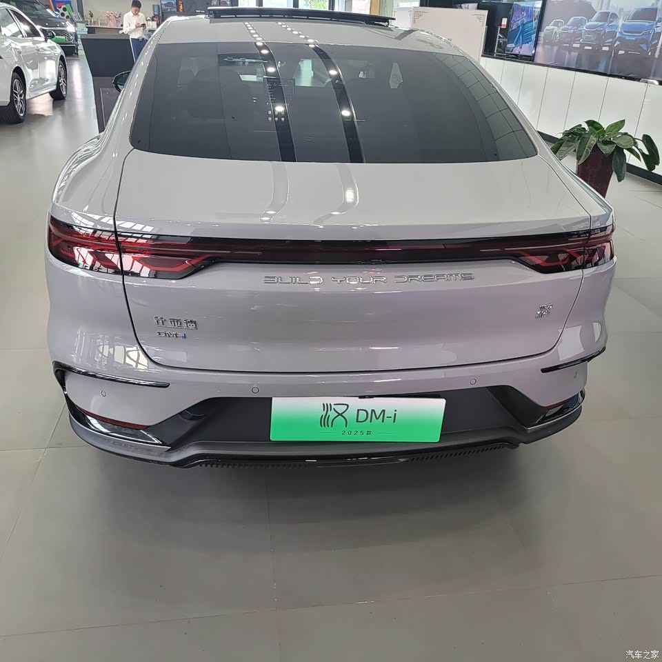 汉 2025款 DM-i 125KM精英型怎么样_优缺点_q4t263wd_口碑_汽车之家
