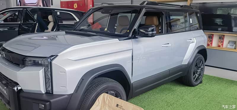 汽车之家|风云X3L报价大全|大众点评|2025款 215智行版怎么样